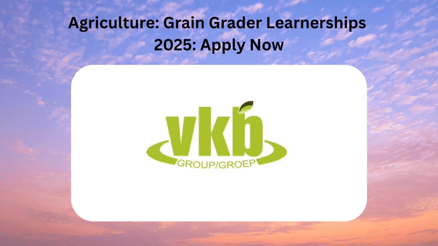 Agriculture: Grain Grader Learnerships 2025 - MyJobLocate.Com